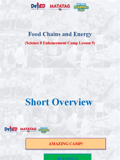 Science 8 Lesson9 Enhancement Pdf