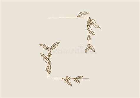 Coffee Plant Branch Rectangle Frame Hand Drawn Decoration Stock Vector