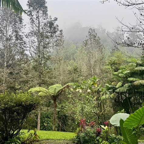 Hotel Posada Don Francisco Reviews Coban Guatemala