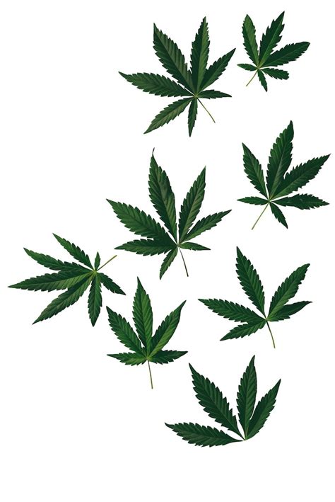 Cannabis Leaf Png Images Free Download On Freepik