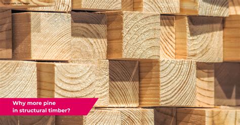 Why More Pine In Structural Timber Trussed Rafter Association
