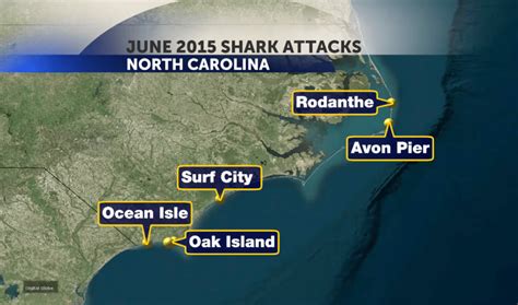 Researcher Explains Science Behind Nc Shark Attacks
