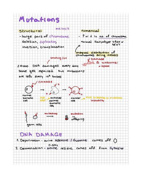 Mutations Summary Foundations In Bioscience I Molecules To Cells