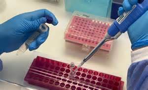 El Cif Efectúa 500 Informes Anuales De Los Cuales El 60 Son Sexuales Nuevo Diario De Salta