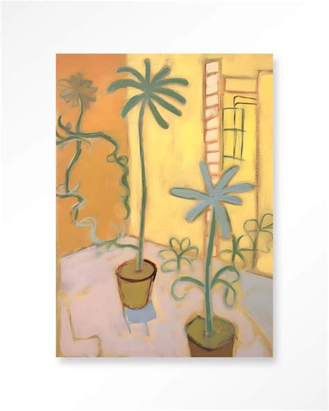 Cabo Verde Urban Cotton