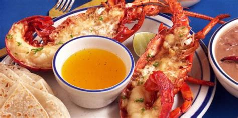 Riqueza Gastronómica De Baja California Multimedios