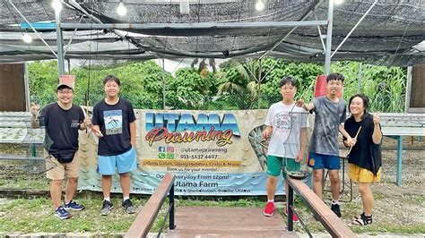 Utama Prawning Youtube