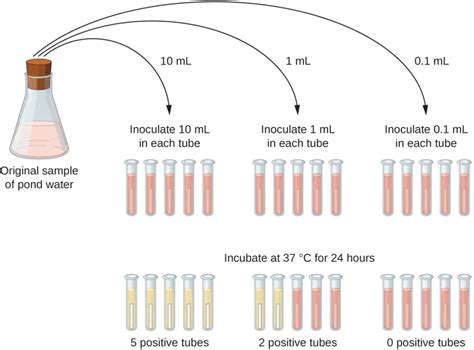 Most Probable Number Mpn Test Principle Procedure Results