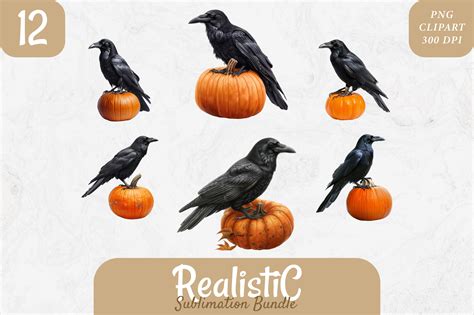 Crow And Pumpkin Graphic By Imaginiac · Creative Fabrica