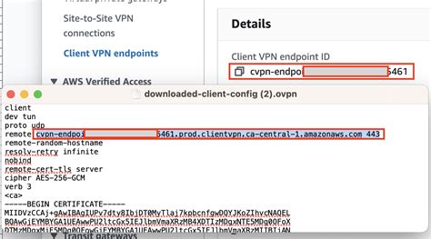 Troubleshooting Client VPN Setup Addressing Connectivity Issues And
