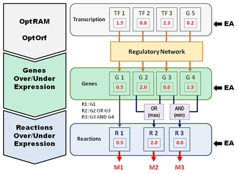 Optimization Tasks — Mewpy Documentation