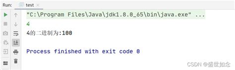 Java使用integer类的方法求二进制java Int的二进制 Csdn博客