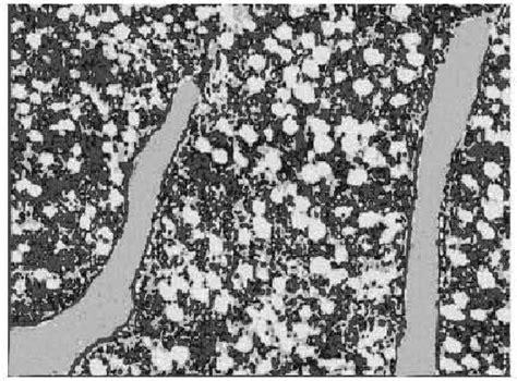 Figure 1 From Image Segmentation Based On Watershed Algorithm Semantic Scholar