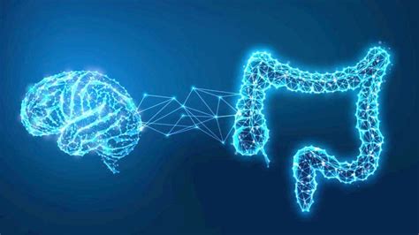 Online 8 Week Program — Gut Directed Hypnotherapy