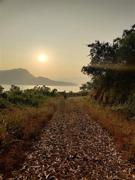 Man Vs Miles Valane Specialty Inn Reviews Photos Rate Comparison