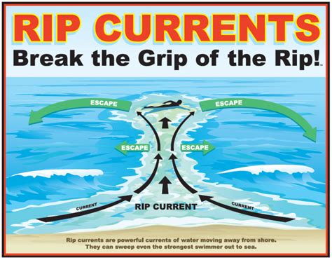 Three Myths About Rip Currents California Sea Grant