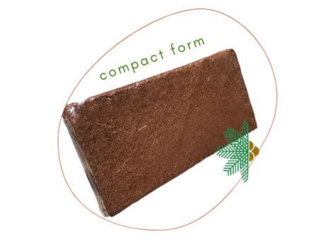 Coco Coir Brick 4 Things To Note When Using Coco Coir Brick Indonesia Coco Peat Coconut