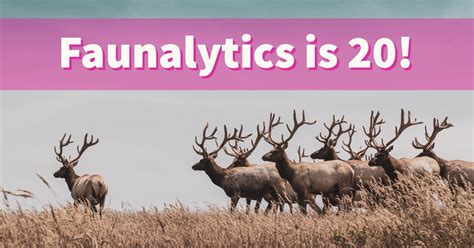 Faunalytics Faunalytics Is Turning 20 Would You Help Us Facebook