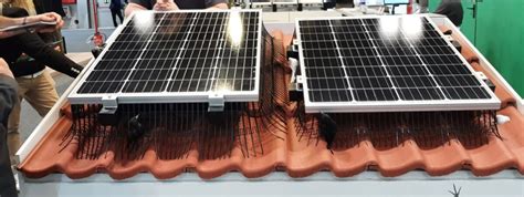 the rapid expansion of small scale distributed generation solar pv