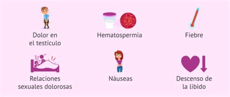 Síntomas De La Inflamación Testicular U Orquitis