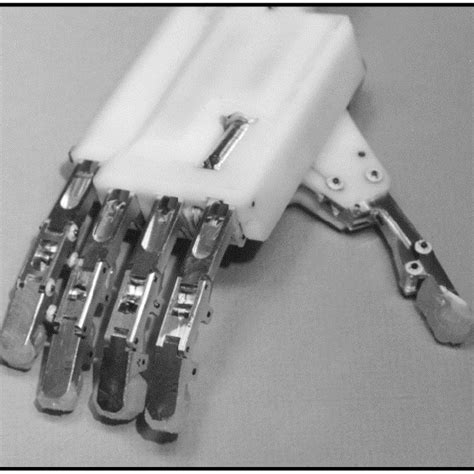 Thumb Range Of Motion Front View Download Scientific Diagram