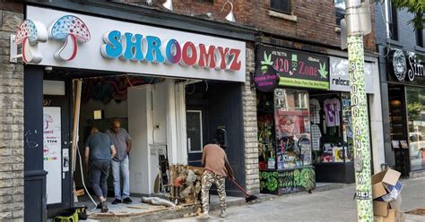 Two Mushroom Dispensaries Attacked In Ottawa Amid Attacks In Toronto