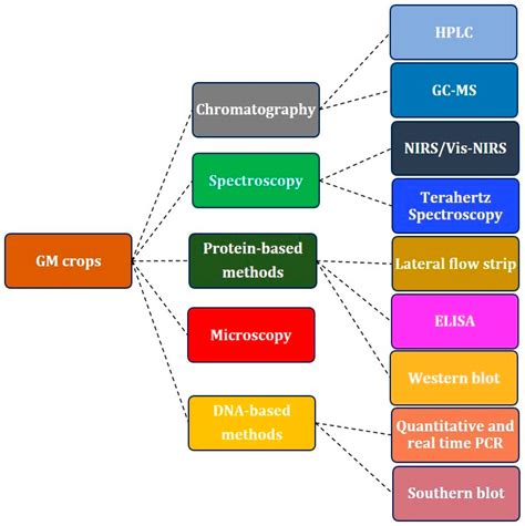 Methods Of Detection Of Genetically Modified Organisms At Natasha Cain Blog