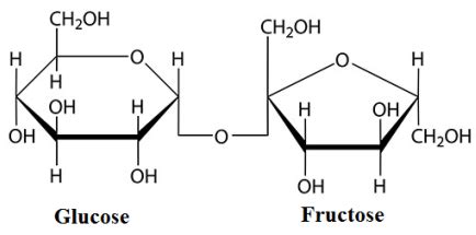 Name Two Monosaccharide Present In Sucrose