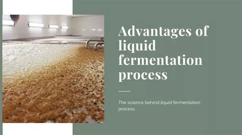 Ppt Advantages Of Liquid Fermentation Powerpoint Presentation Free Download Id13069492