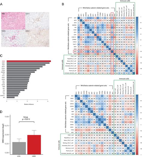 Microphotographs Of Gbm And Correlation Plots Between Download