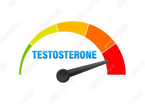 Testosterone Level Meter Measuring Scale Hormone Testosterone