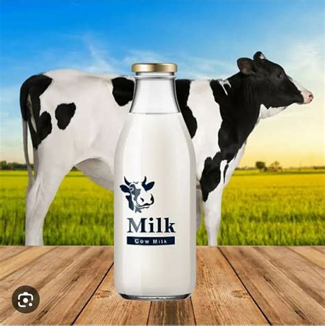 Cow Milk Packet At ₹ 40litre In Nashik Id 2857497782491