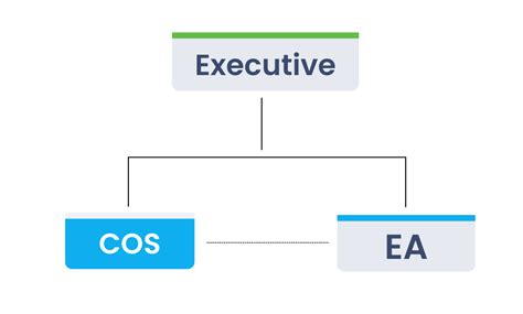 Chief Of Staff Organizational Chart Role Essentials — Next Level Coaching