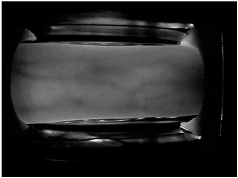 Finger Vein Recognition Technology Based On Vein Direction Detection