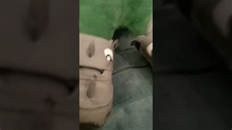 Siuuuuuuuuuuuuuuuuuuuuuuuuuuuuuuuuuu Youtube