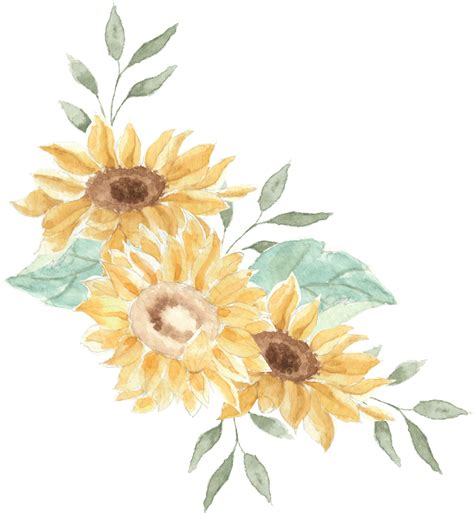 Arranjo De Aquarela De Girassol De Outono Vintage Png Casamento