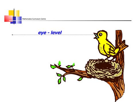 Elevation And Depression Ppt