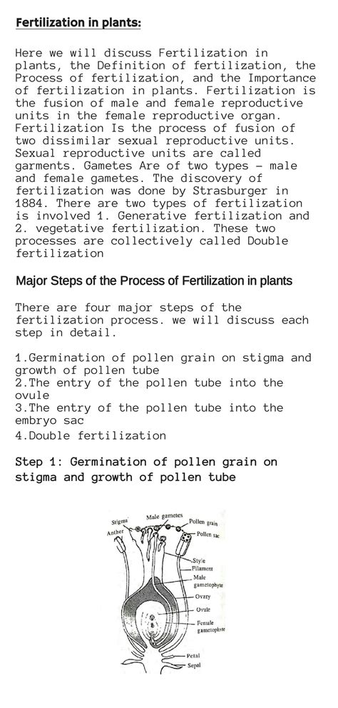 Solution Fertilization In Plants Studypool