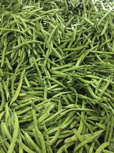 Gallery Aaran Groups