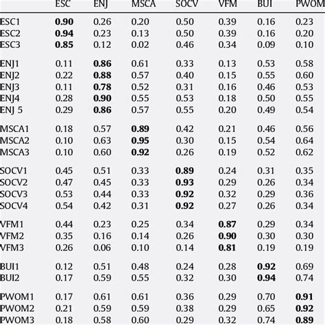 Matrix Of Loadings And Cross Loadings Download Table