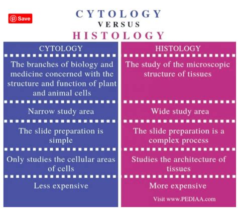 Week 7 Cytology Histology Flashcards Quizlet