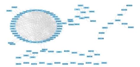 Cluster Analysis Of Ppi Network Download Scientific Diagram