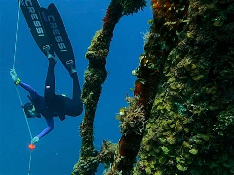 Roatan Diving School 2025 All You Need To Know Before You Go With Reviews