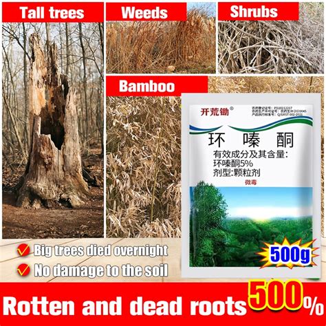 Tree Killer Chemical Hexazinone Big Tree Killer Giant Tree Killer Can