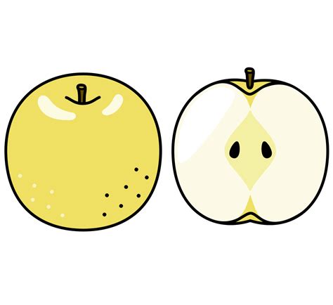 梨のイラスト ケケイラスト