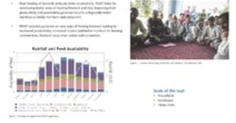 The Feed Assessment Tool Feast