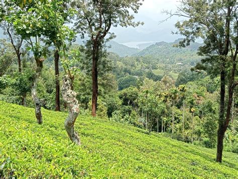 Rangala Hiking Camping And Waterfall Adventure