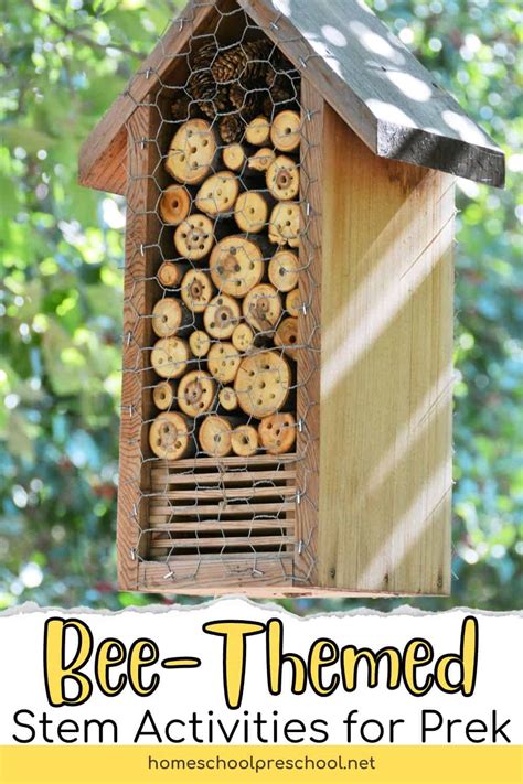 Engaging Bee Stem Activities For Preschool Fun