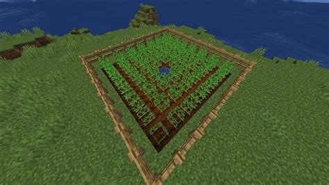 Best Layout For Crop Farms In Minecraft