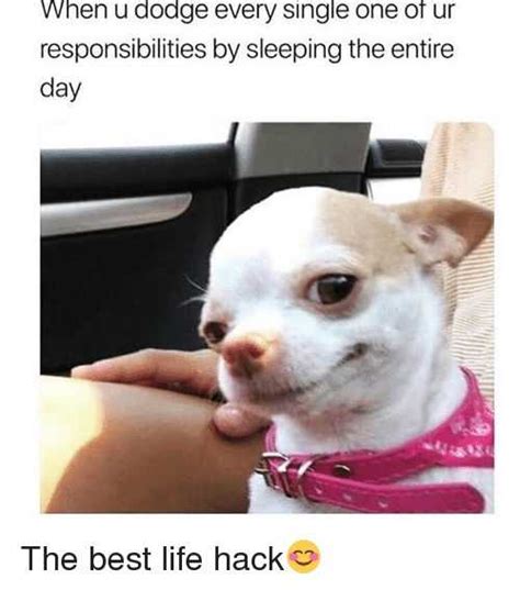 32 Hilarious Life Hacks